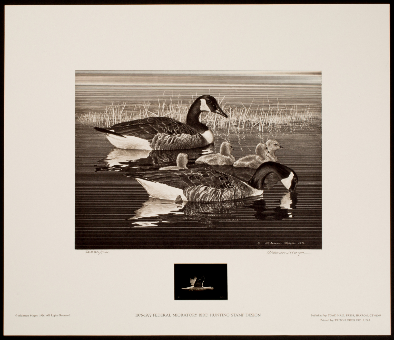 Collecting Used Federal Duck Stamps – Part Four - Waterfowl Stamps and More