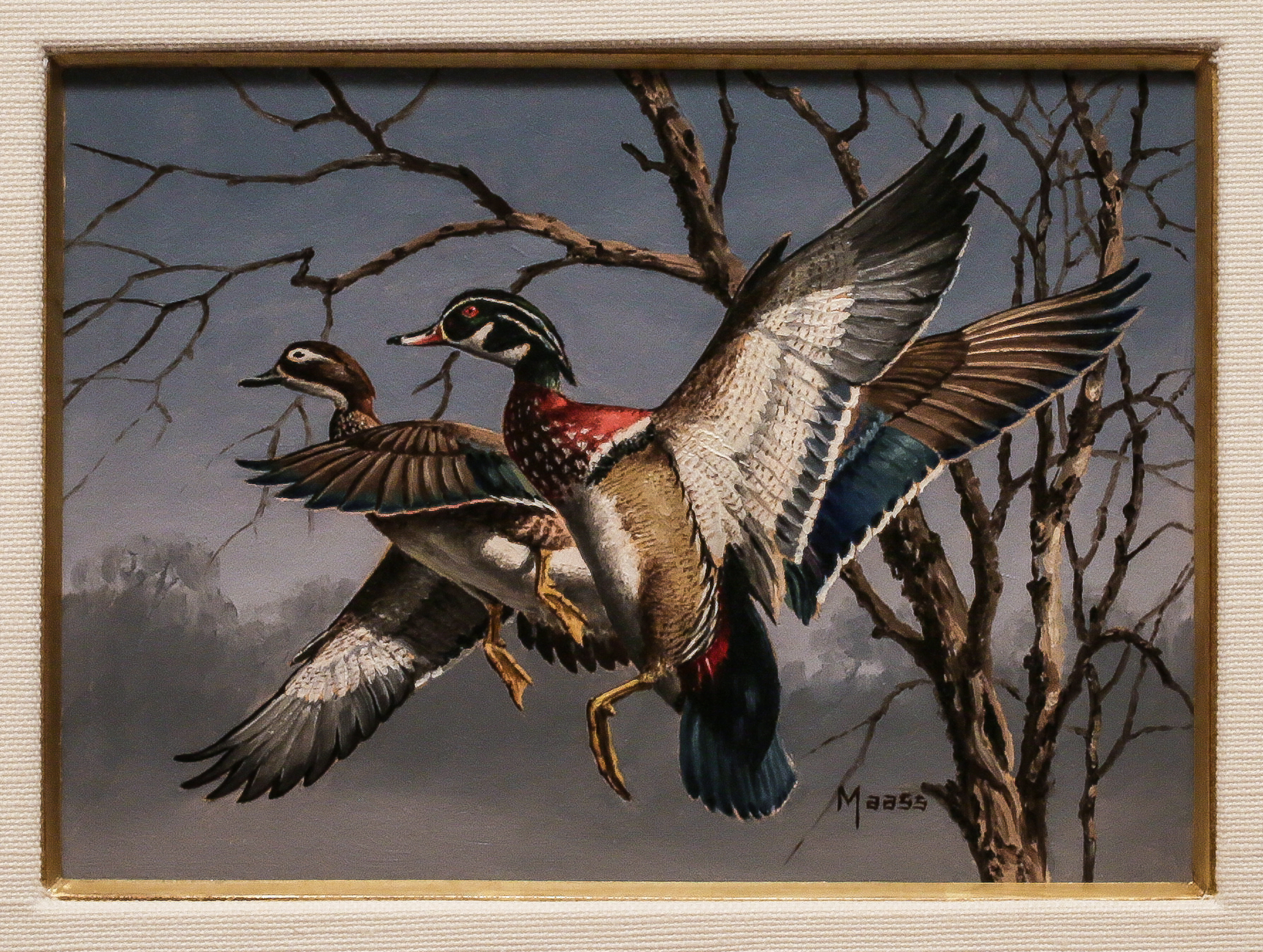 Collecting Used Federal Duck Stamps – Part Four - Waterfowl Stamps and More