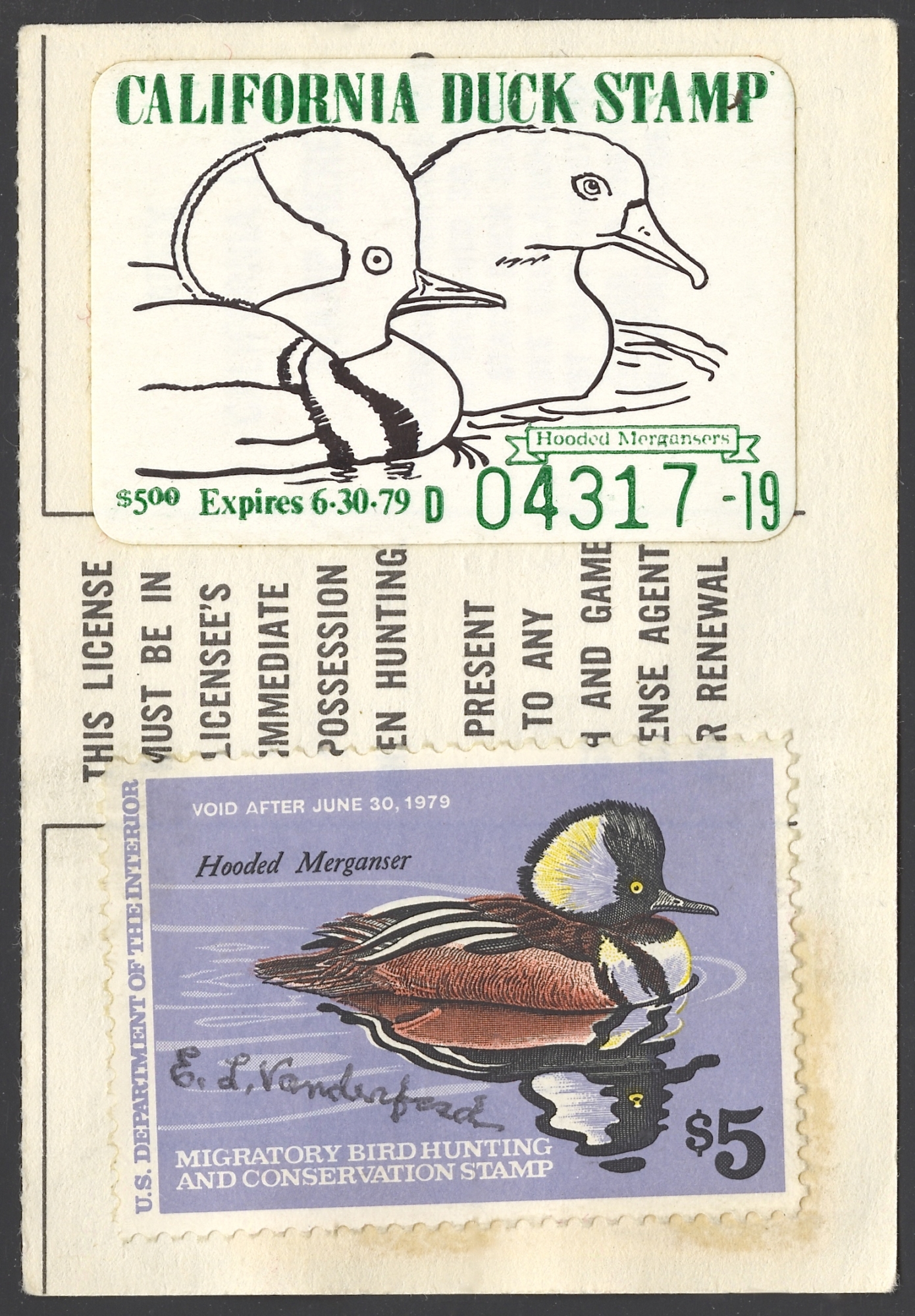 Collecting Used Federal Duck Stamps – Part Four - Waterfowl Stamps and More